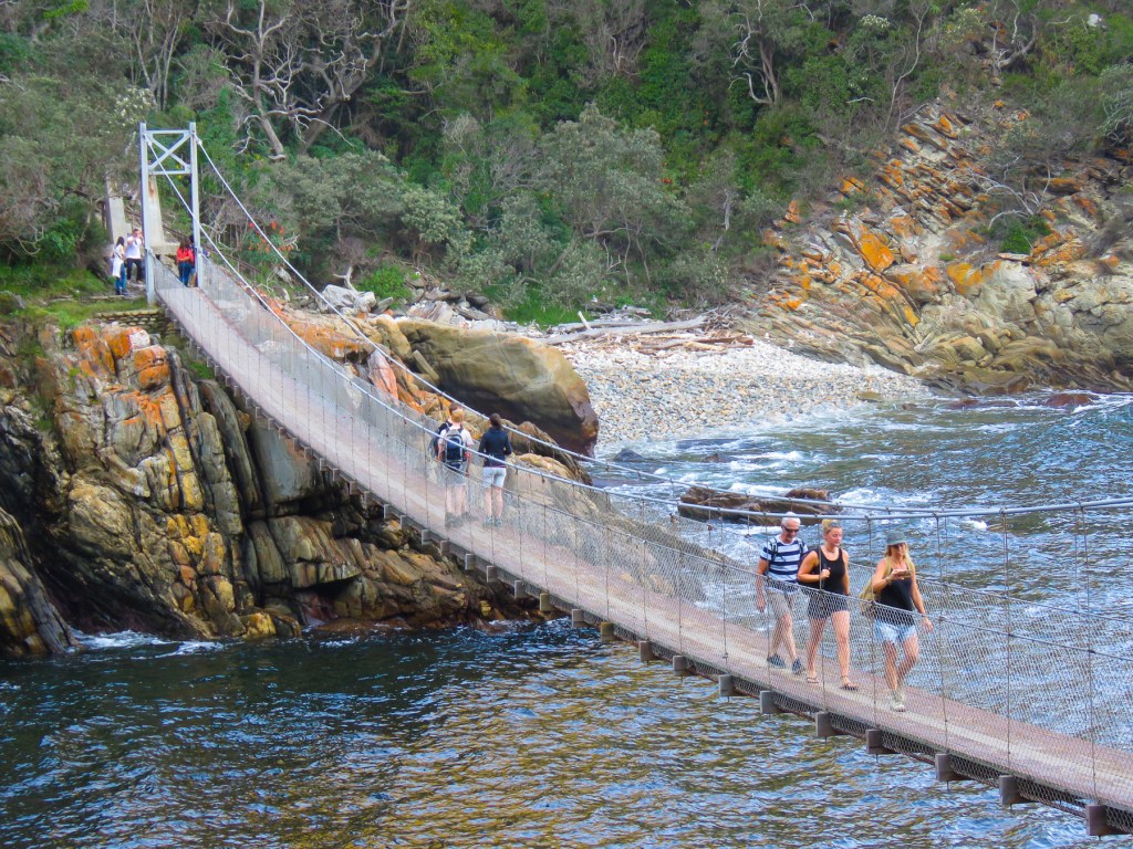 The Garden Route Part 2: Great Waves, Crocodiles and Ronnie’s – 2 ...