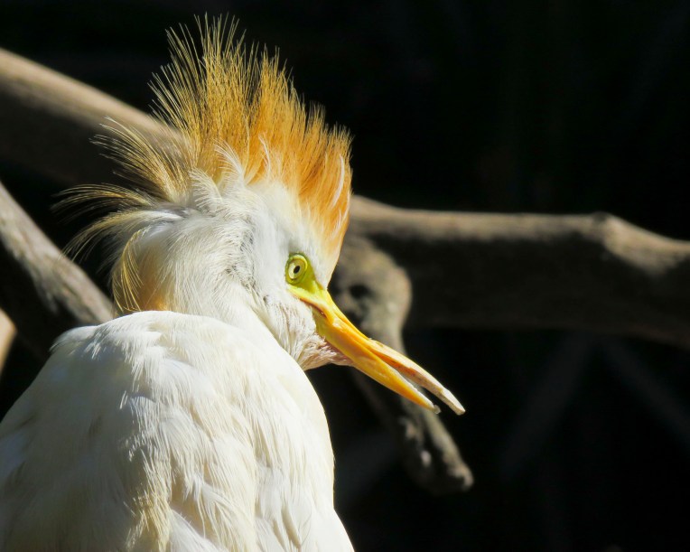 Cape Town Part 4: Sea Point – 2 Suitcases for 2 years