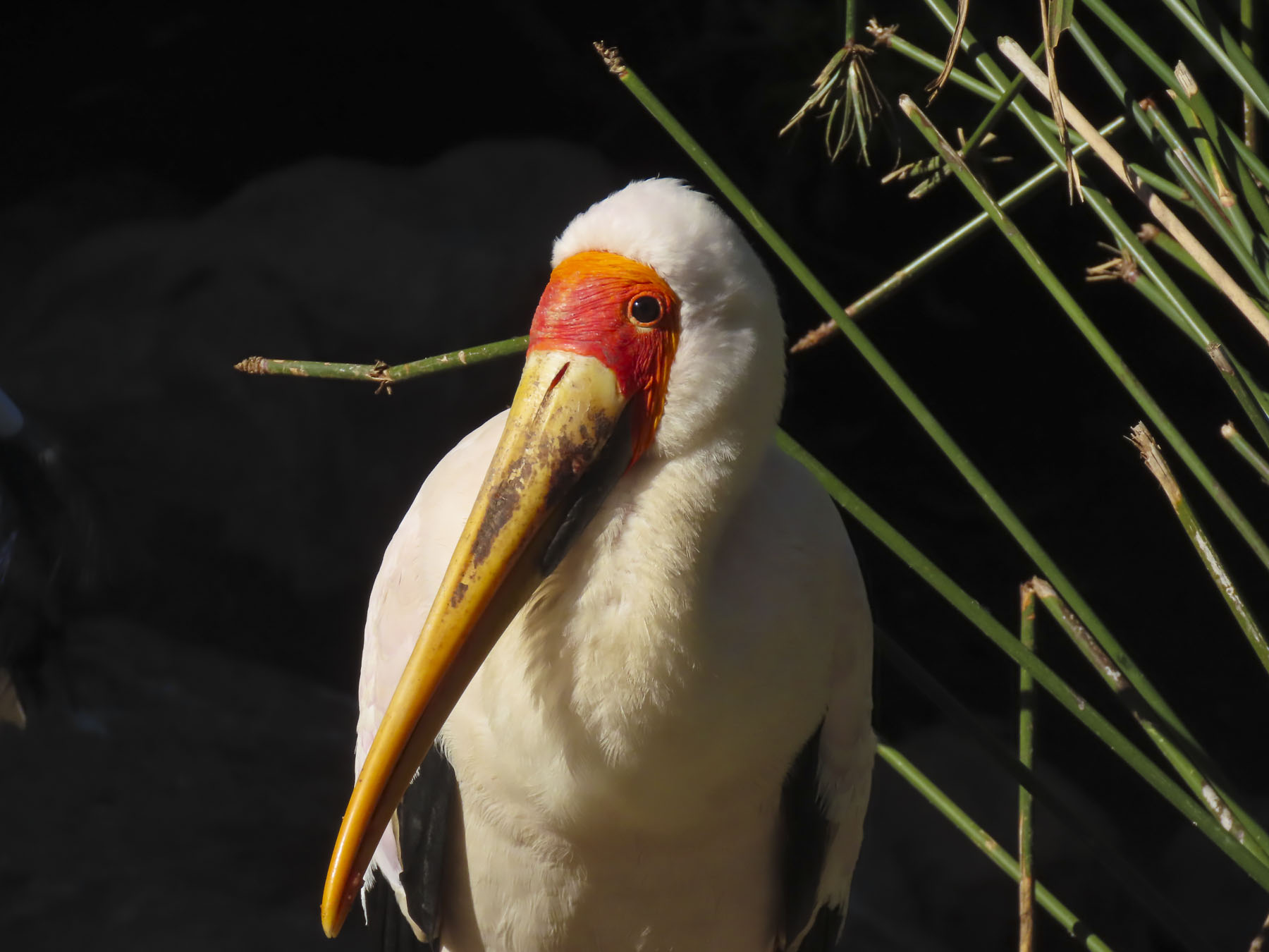 Cape Town Part 4: Sea Point – 2 Suitcases for 2 years